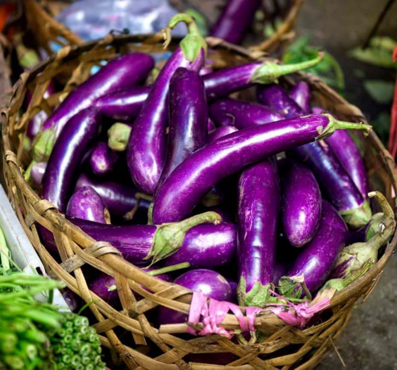 Supreme Court Reverses Decision on Bt Eggplant Field Trials ...
