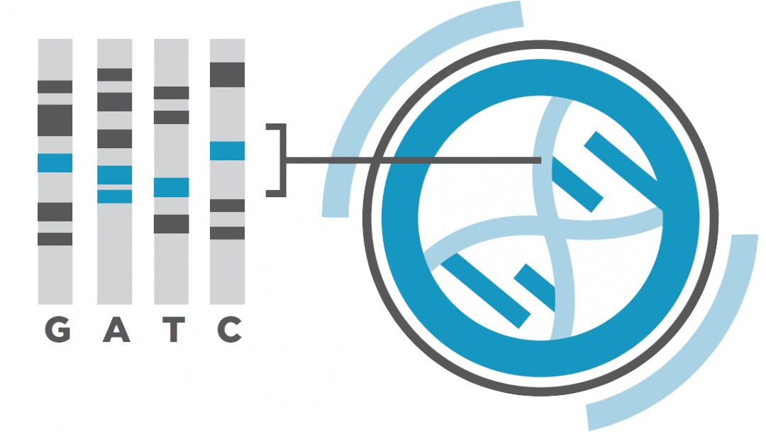 Next Generation Sequencing – Philippine Genome Center