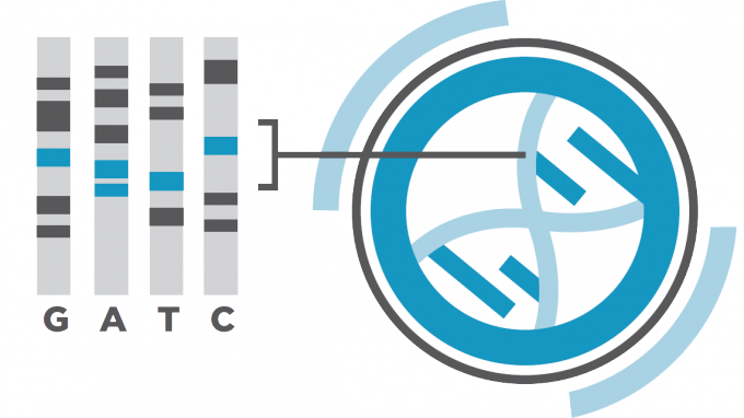 Next Generation Sequencing – Philippine Genome Center